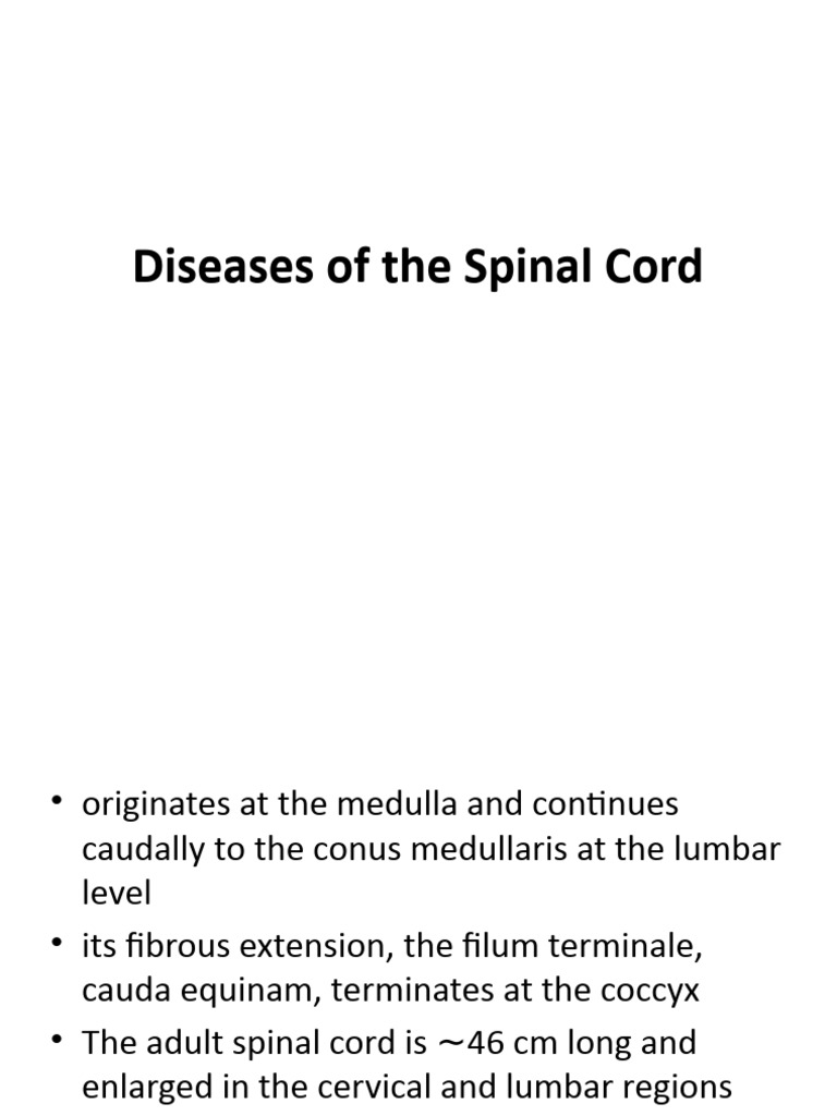 Diseases of The Spinal Cord by Dr. Wongel | PDF | Spinal Cord | Nervous ...