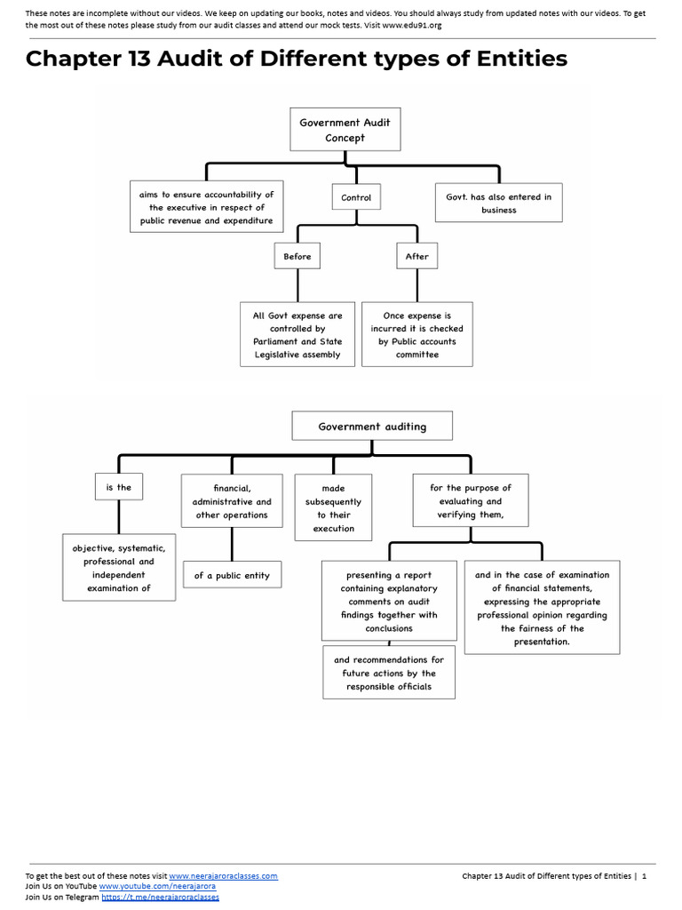 Audit of Different Types of Entities | Download Free PDF | Lease | Audit