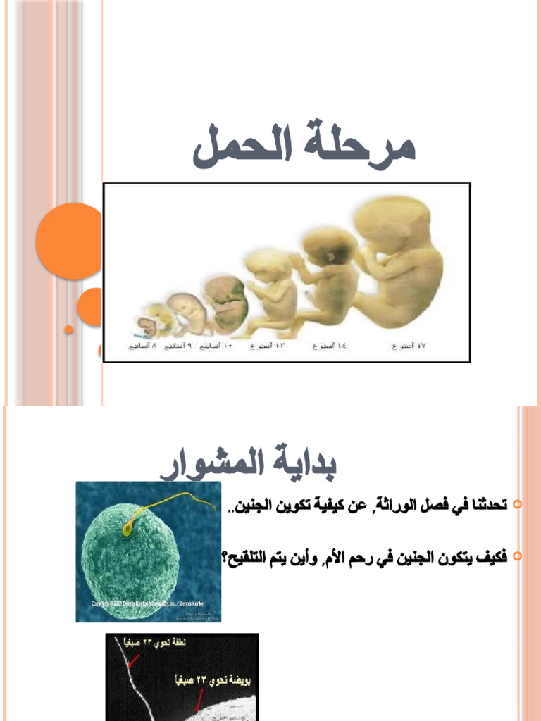 LHML 0 | PDF