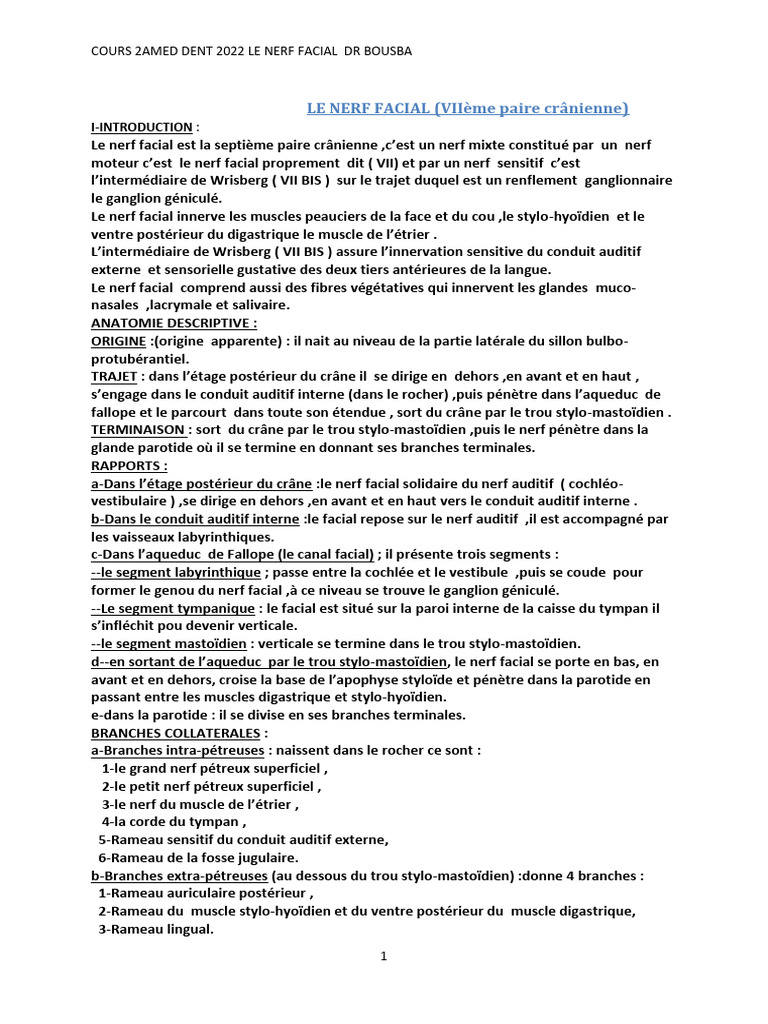 Anatomie du Nerf Facial (VII) | PDF | Anatomie humaine | Neuroanatomie