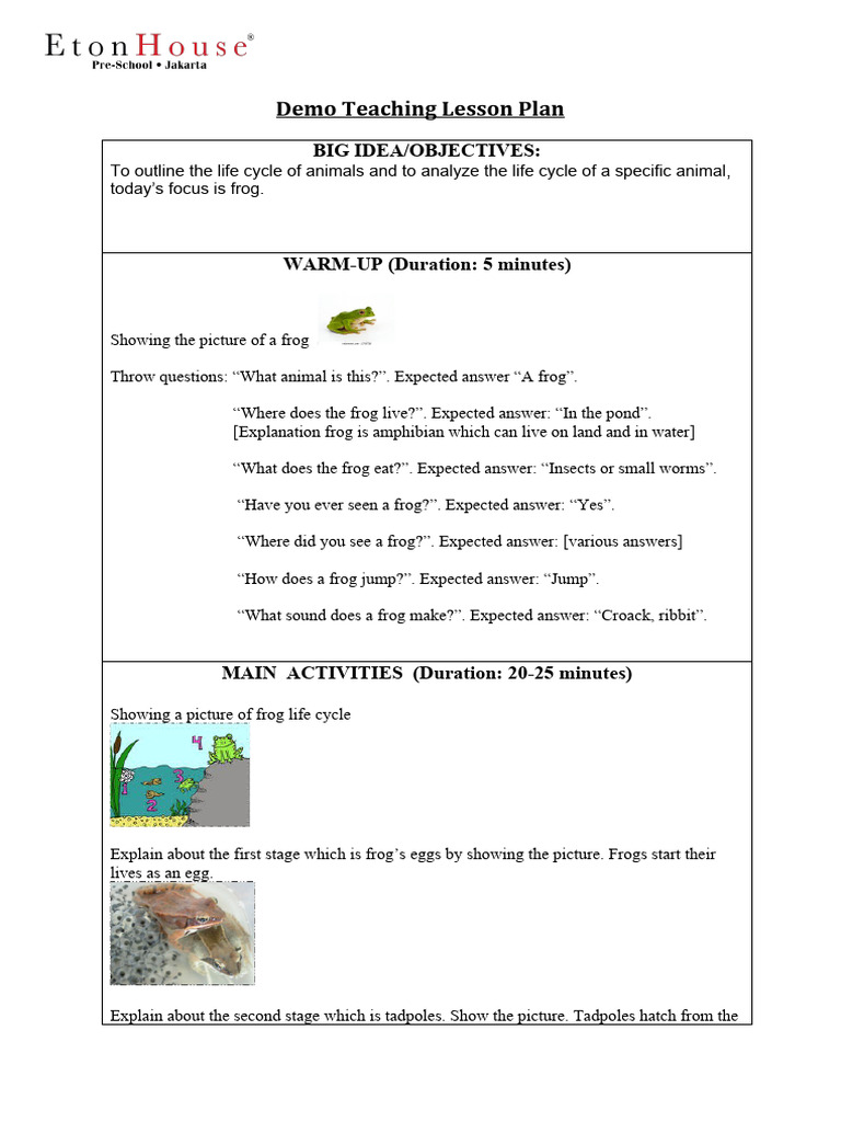 Demo Teaching Lesson Plan Template | PDF
