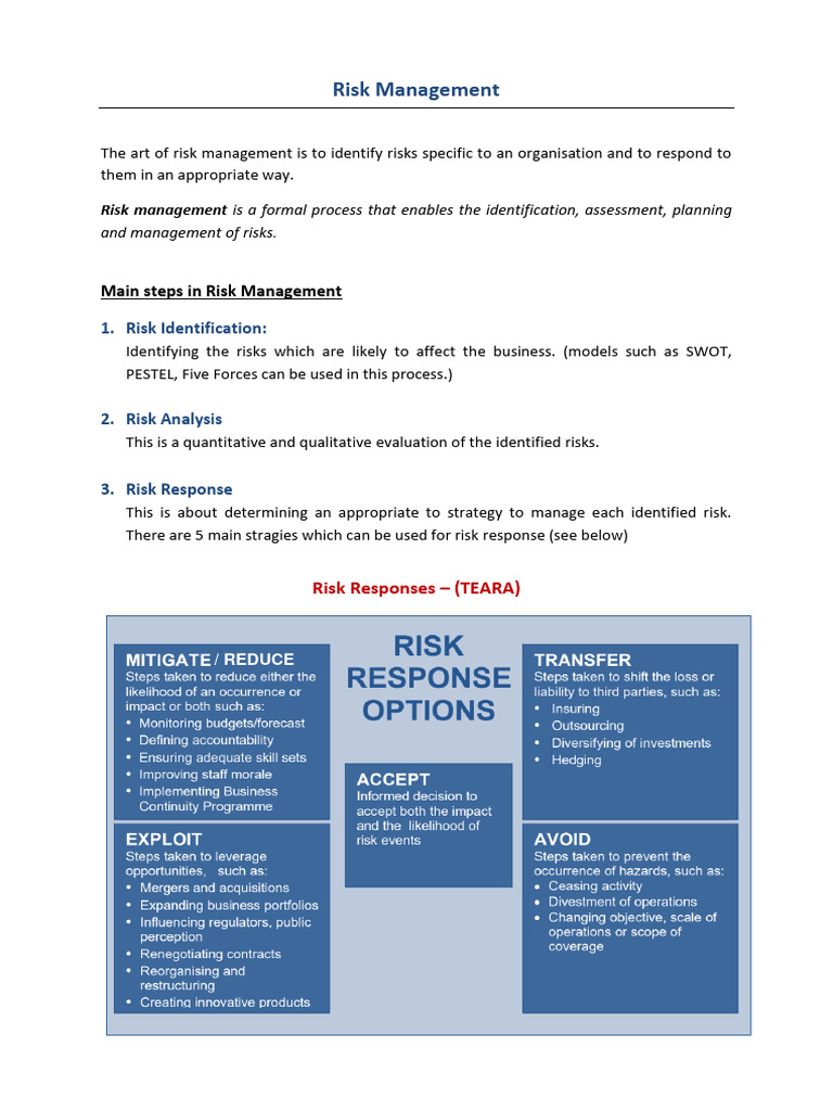 Risk Management | PDF