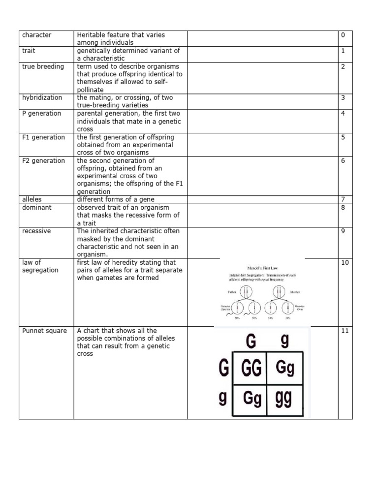 Mendel and The Gene Idea - Module 1 | PDF | Dominance (Genetics) | Allele