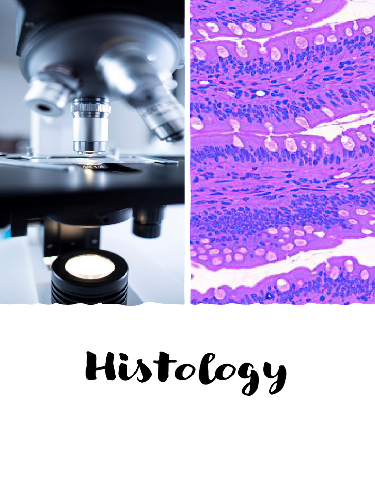Introduction To General Histology - Laboratory | PDF | Staining | Extracellular Matrix