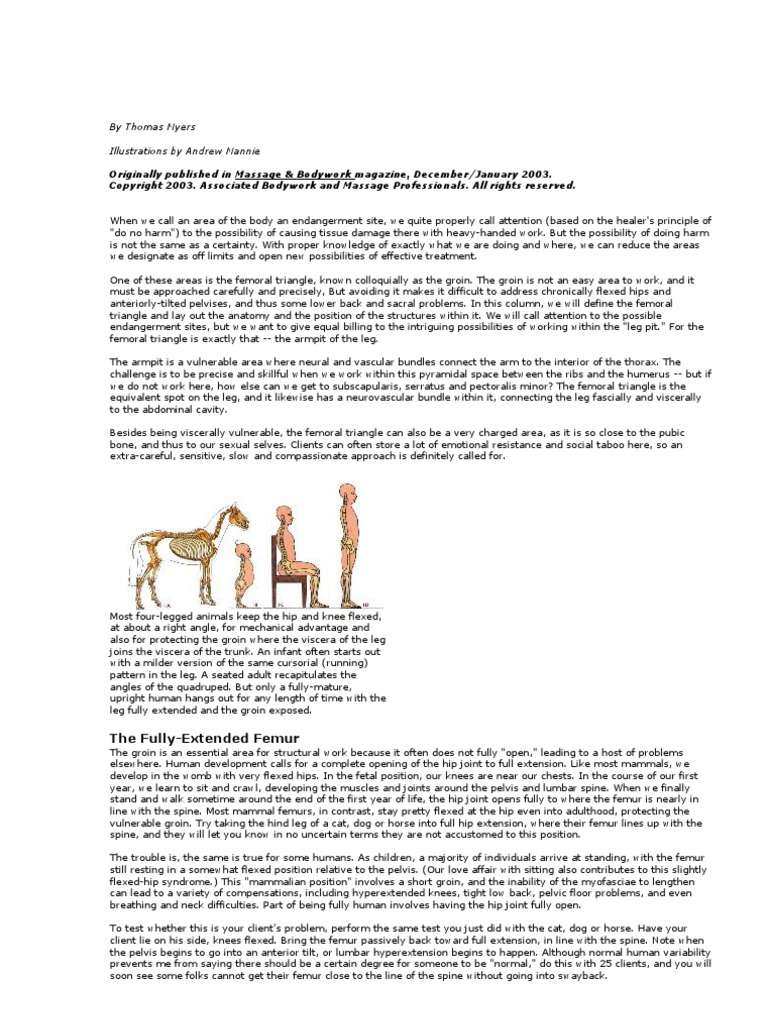 Danger and Excitement in The Femoral Triangle | Download Free PDF ...