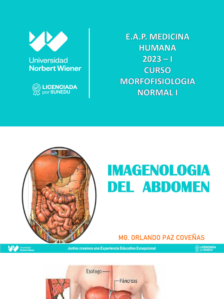 Imagenologia Del Abdomen | PDF | Abdomen | Peritoneo