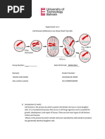 Lab Manual - Mitosis in An Onion Root Cell | PDF