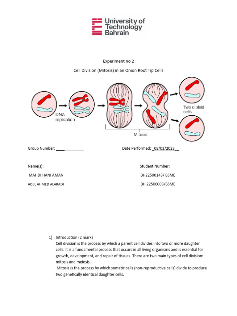 Lab Report 2 - SCIE400 | PDF | Mitosis | Chromosome