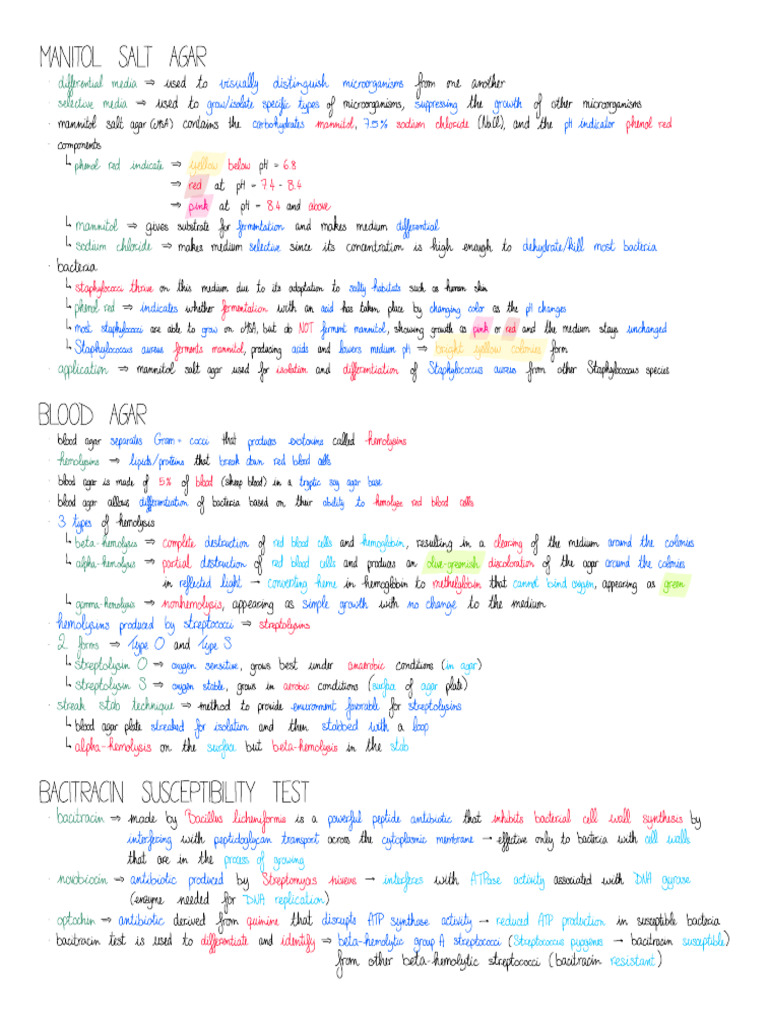 Mannitol Salt Agar | PDF | Staphylococcus | Growth Medium