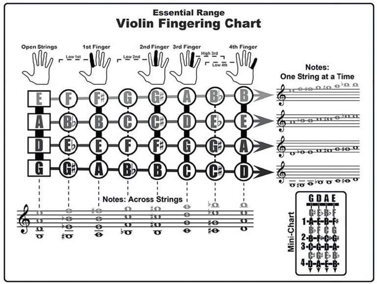 Violin - Essential - Fingering - Chart CC | PDF