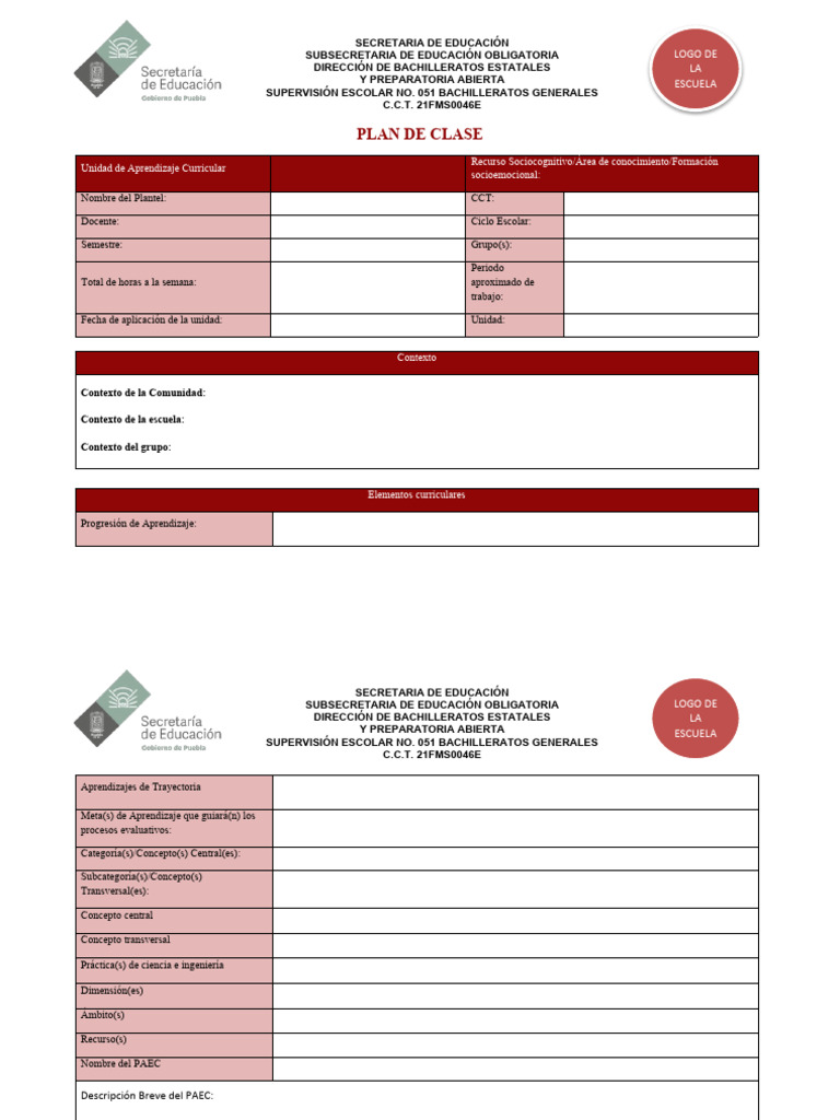 Formato Plan de Clase NEM | PDF | Enseñando | Cognición