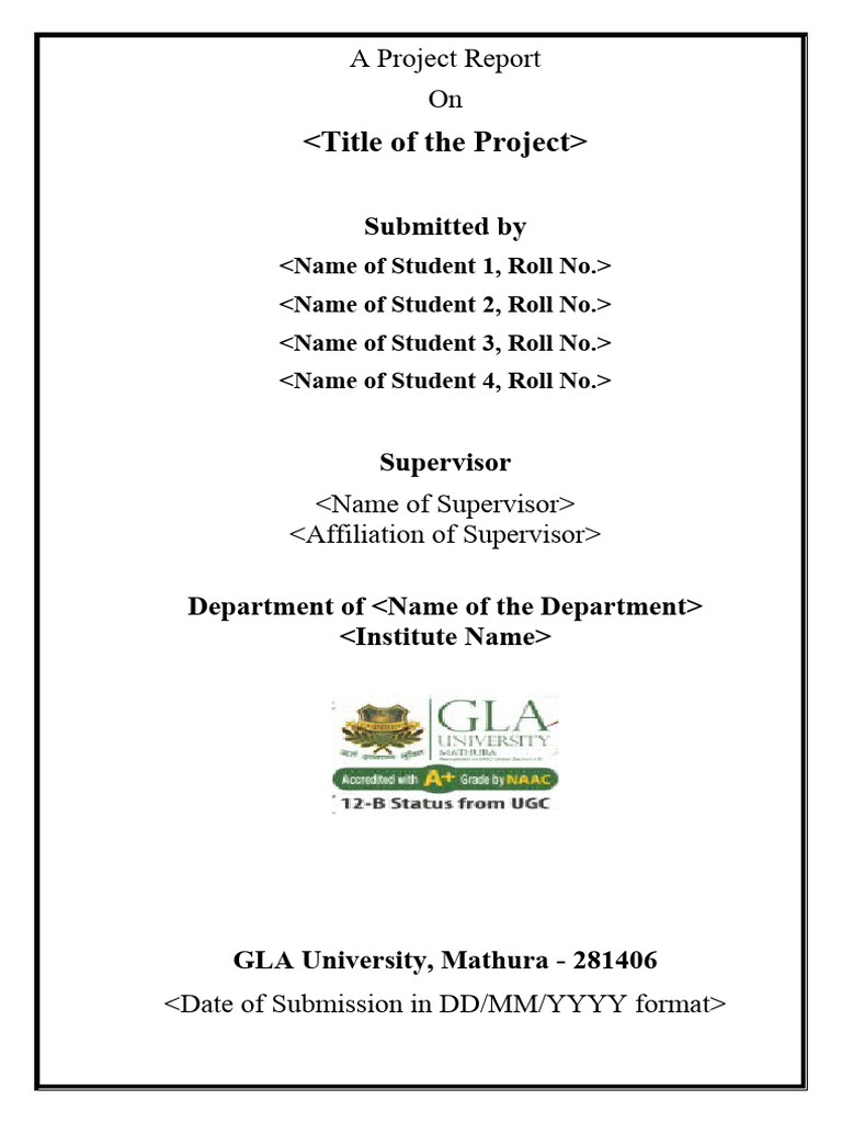 Field Project Report Format | PDF
