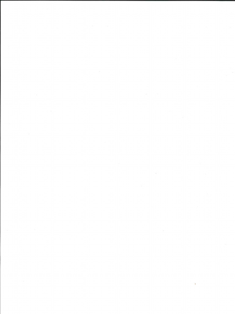 Rachels Cap 1 e 2 | PDF