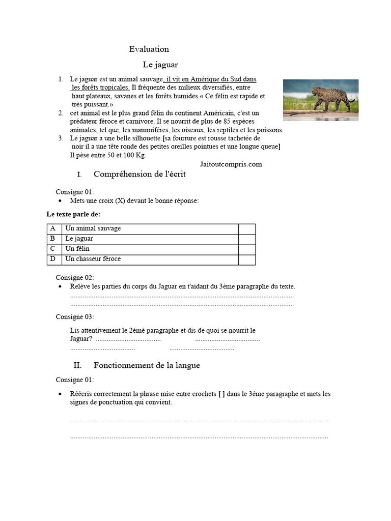 Évaluation des acquis sur le jaguar 5AP | PDF | Jaguar | Lion