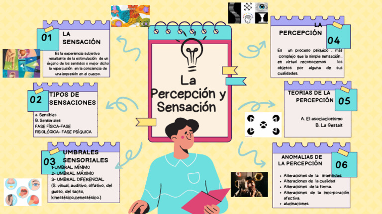 Mapa Mental de Percepción y Sensación | PDF