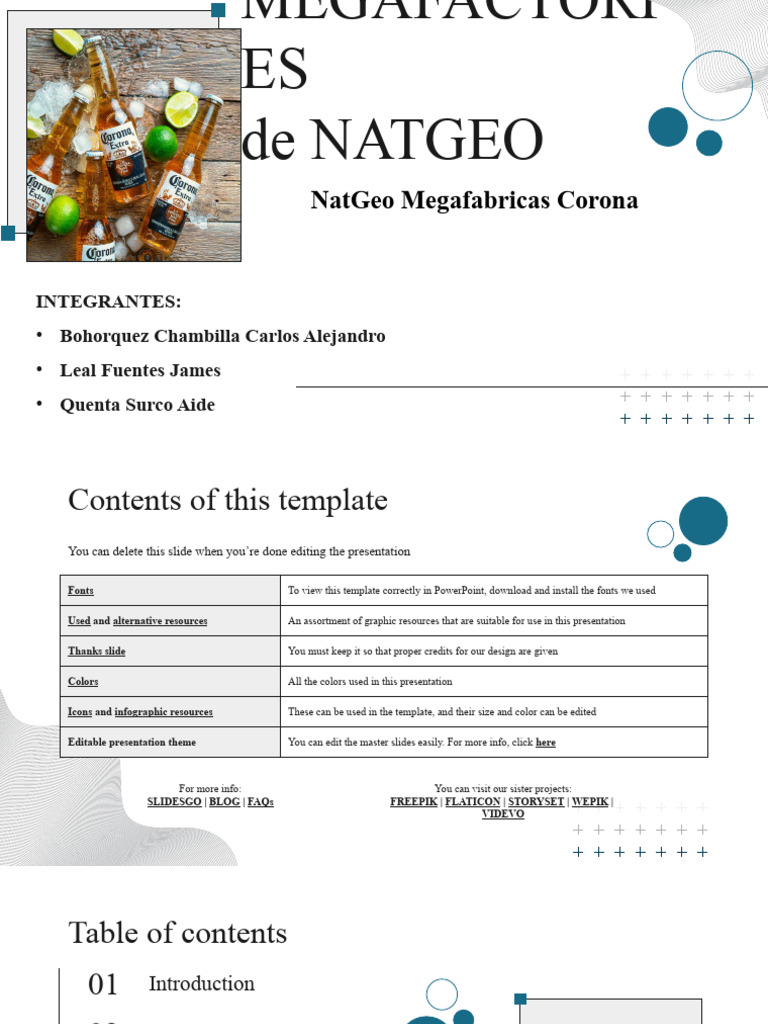 Engineering Portfolio Template Guide | PDF | I Pad | Icon (Computing)