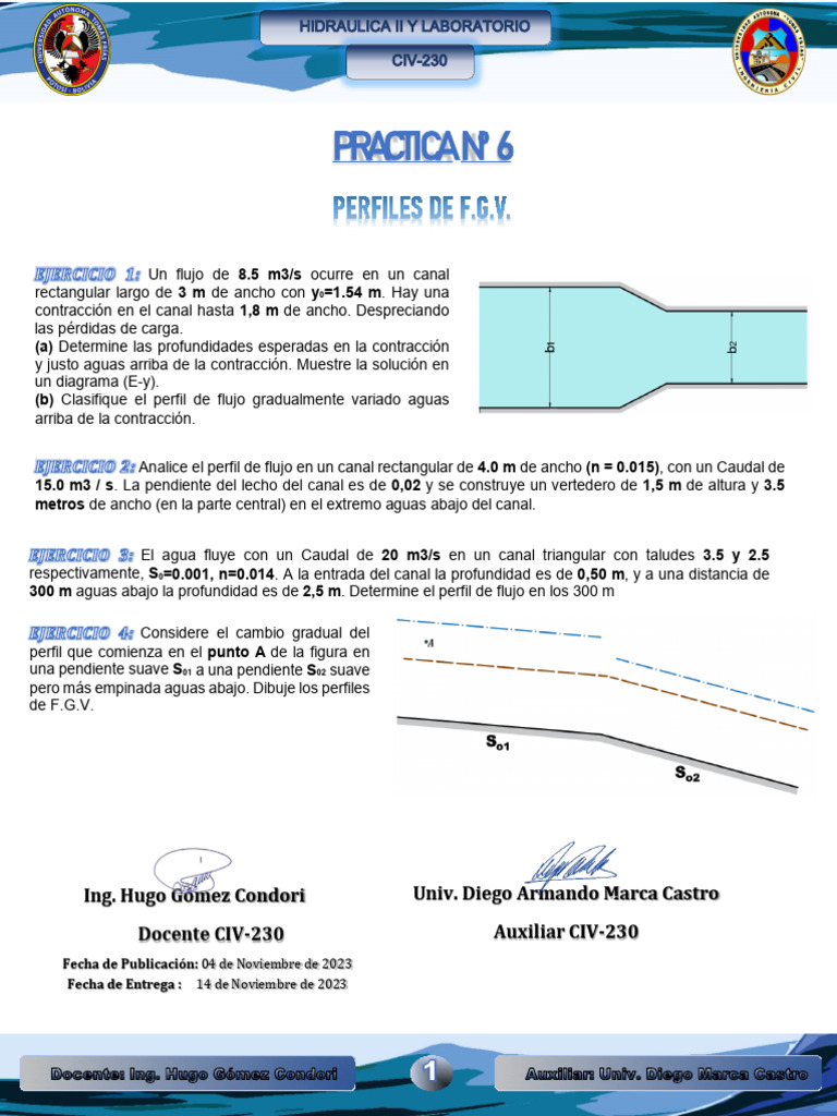 6 Perfiles de F.G.V. | PDF