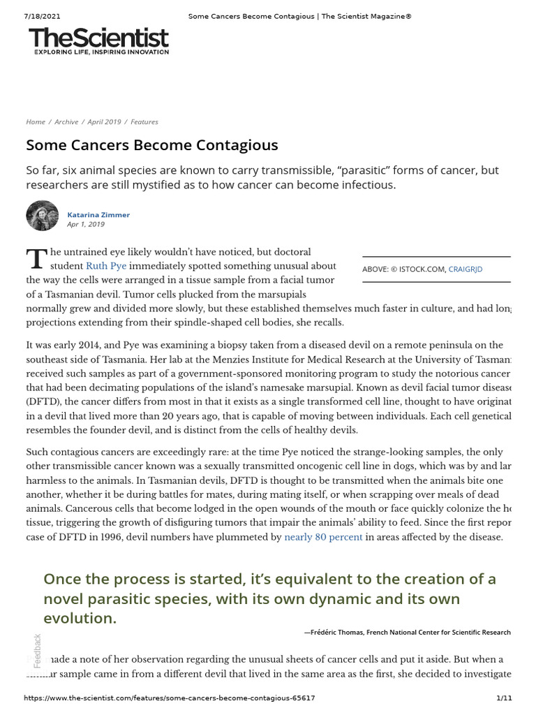 Some Cancers Become Contagious - The Scientist Magazine® | PDF | Major ...