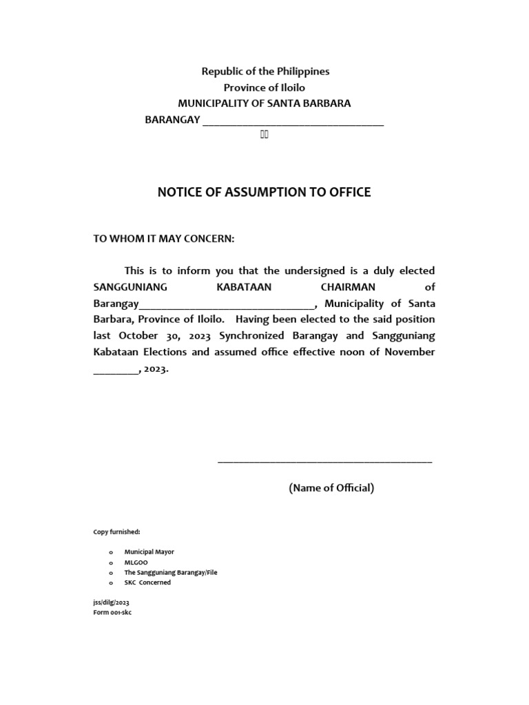 SK Assumption To Office | Download Free PDF | Philippines | Government