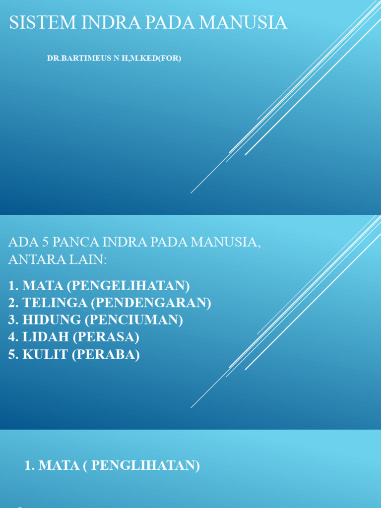 Sistem Indra Pada Manusia PPT 094733 | PDF