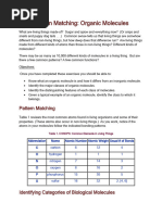 Mouse Party Worksheet Answers | PDF | Dopamine | Neurotransmitter