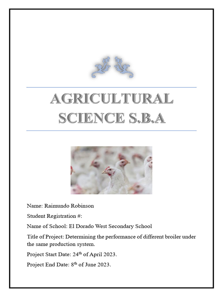 Broiler Weight Gain Study: Ross vs Hubbard | PDF | Broiler | Chicken