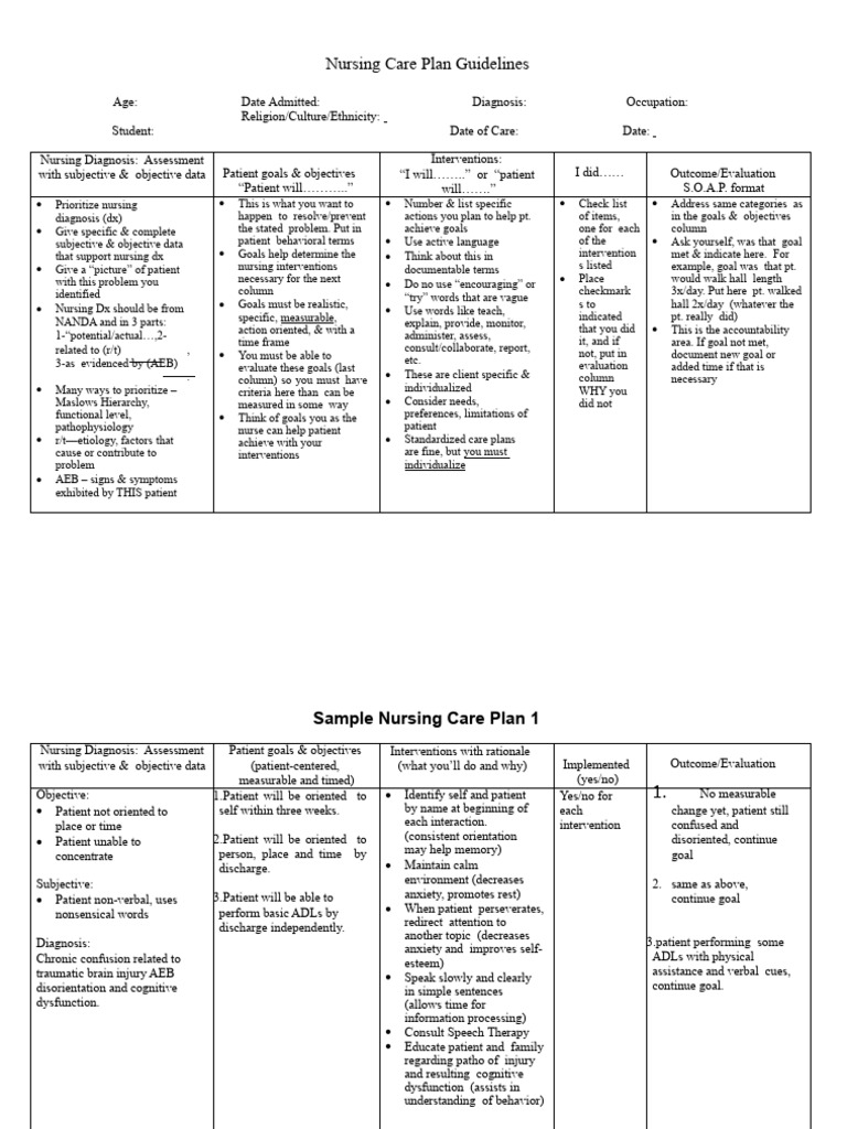 Nursing Care Plan Framework Guide | PDF | Pain | Nursing