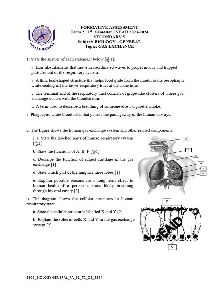 Sec 5 - Fa - Gas Exchange - T2 - QS | PDF | Respiratory Tract ...