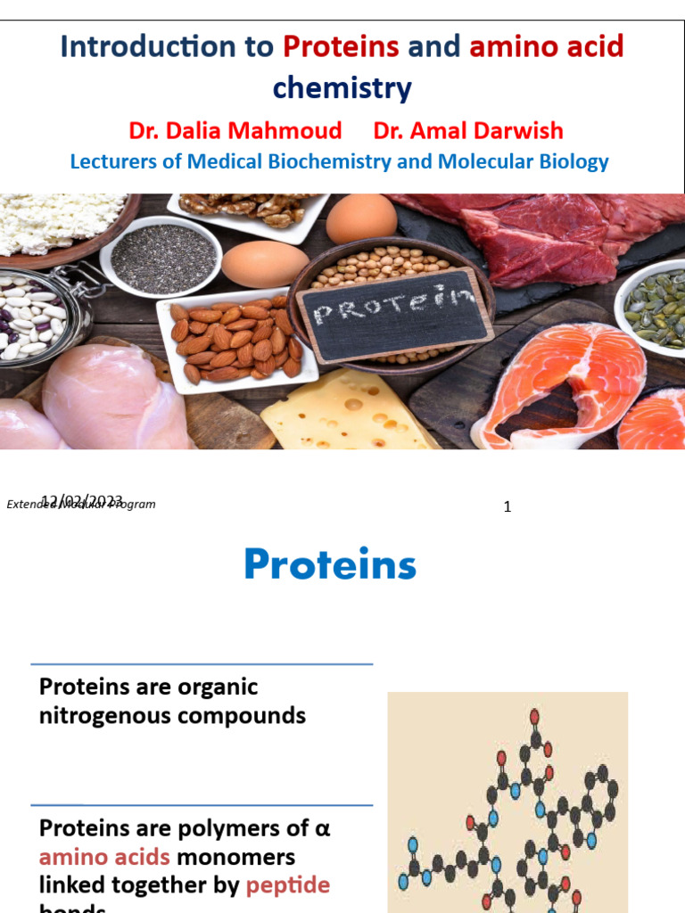 Protein N.2023 | PDF | Amino Acid | Proteins