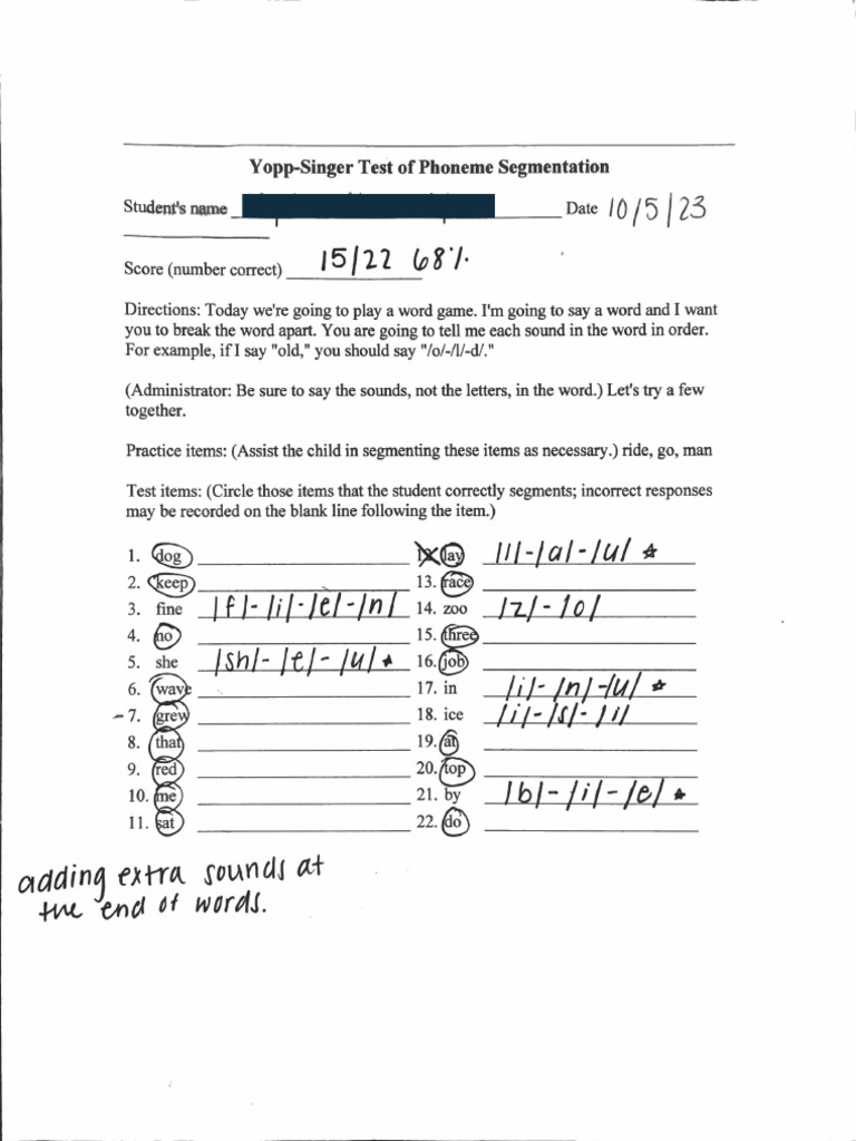 Yopp Singer Case Study | PDF