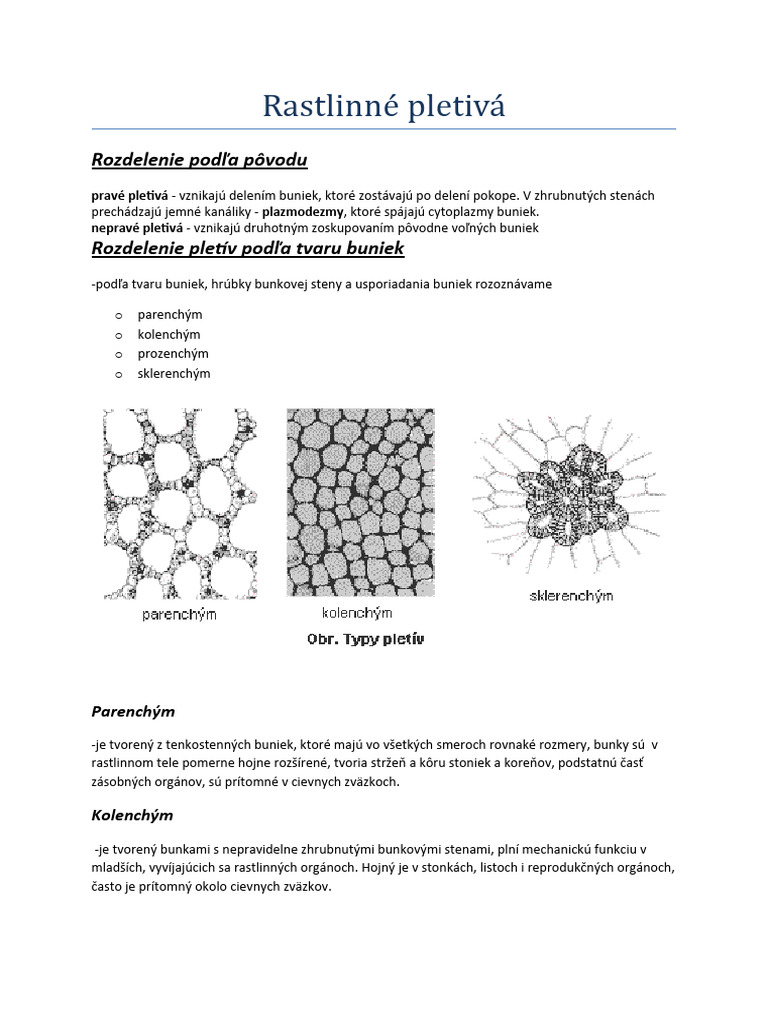 Rastlinné Pletivá | PDF