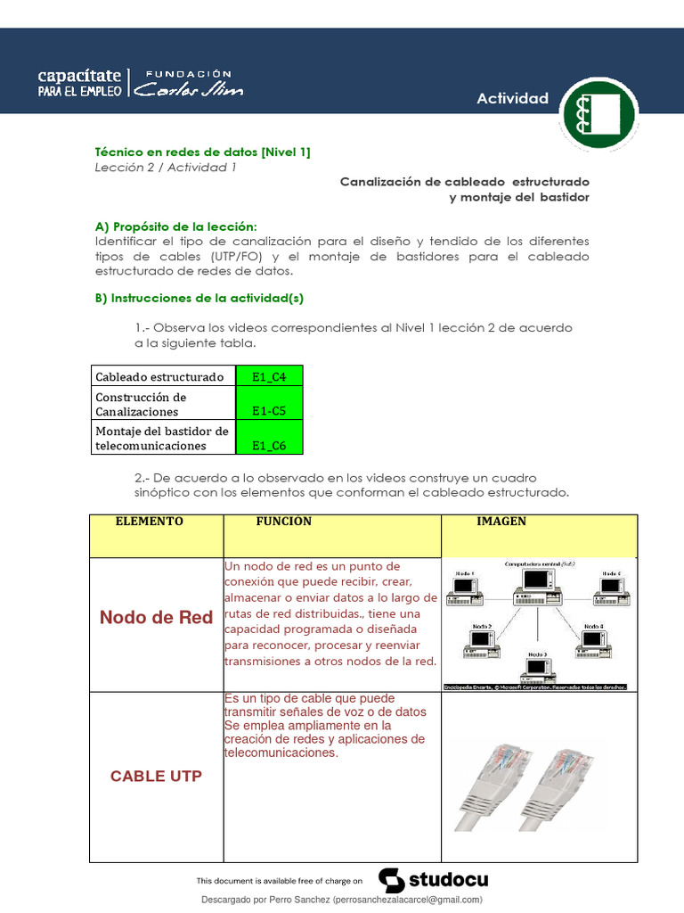 Tecnico en Redes de Datos Nivel 1 Leccion 2 | PDF | Redes de computadoras | Electrónica