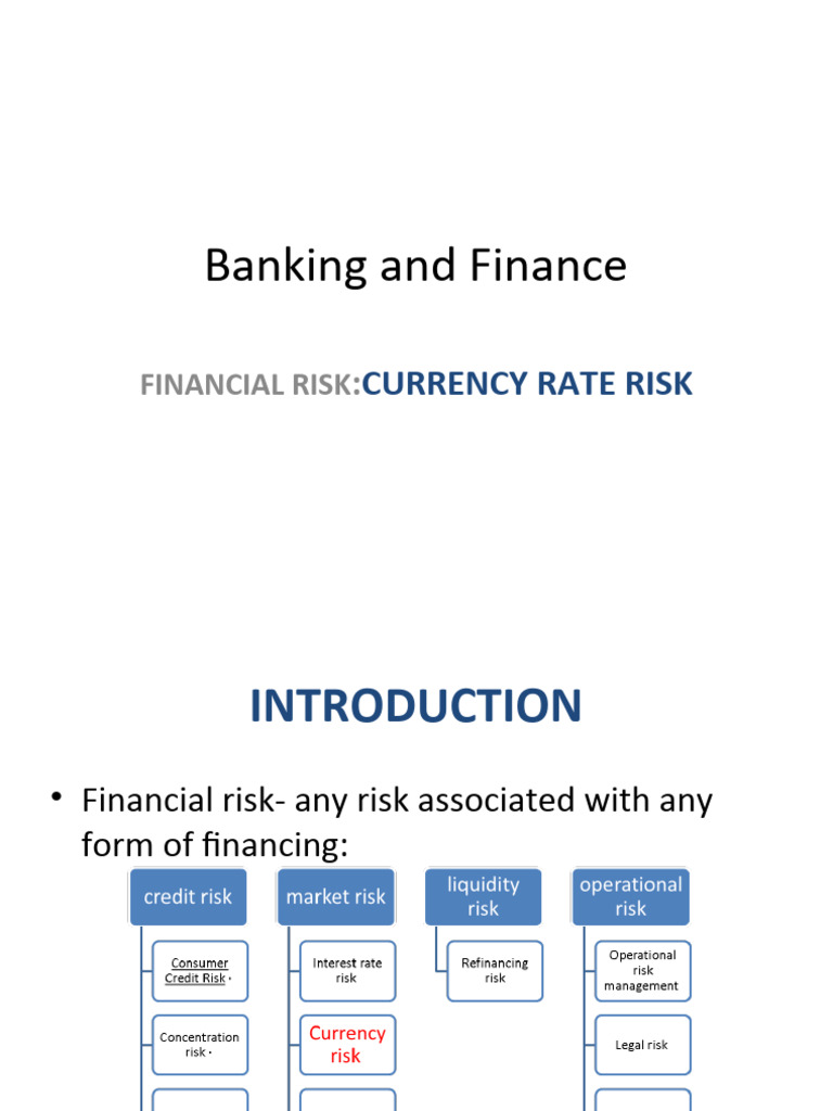 Financial Risk | PDF | Exchange Rate | Currency Appreciation And ...