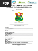 MODELO DE CARATULA Py EUREKA | PDF