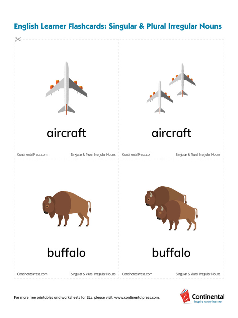CP El Flashcards Irregular Nouns | PDF | Plural | Syntactic Relationships