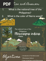 Molave Tree: Benefits and Growing Guide | PDF | Trees | Plants