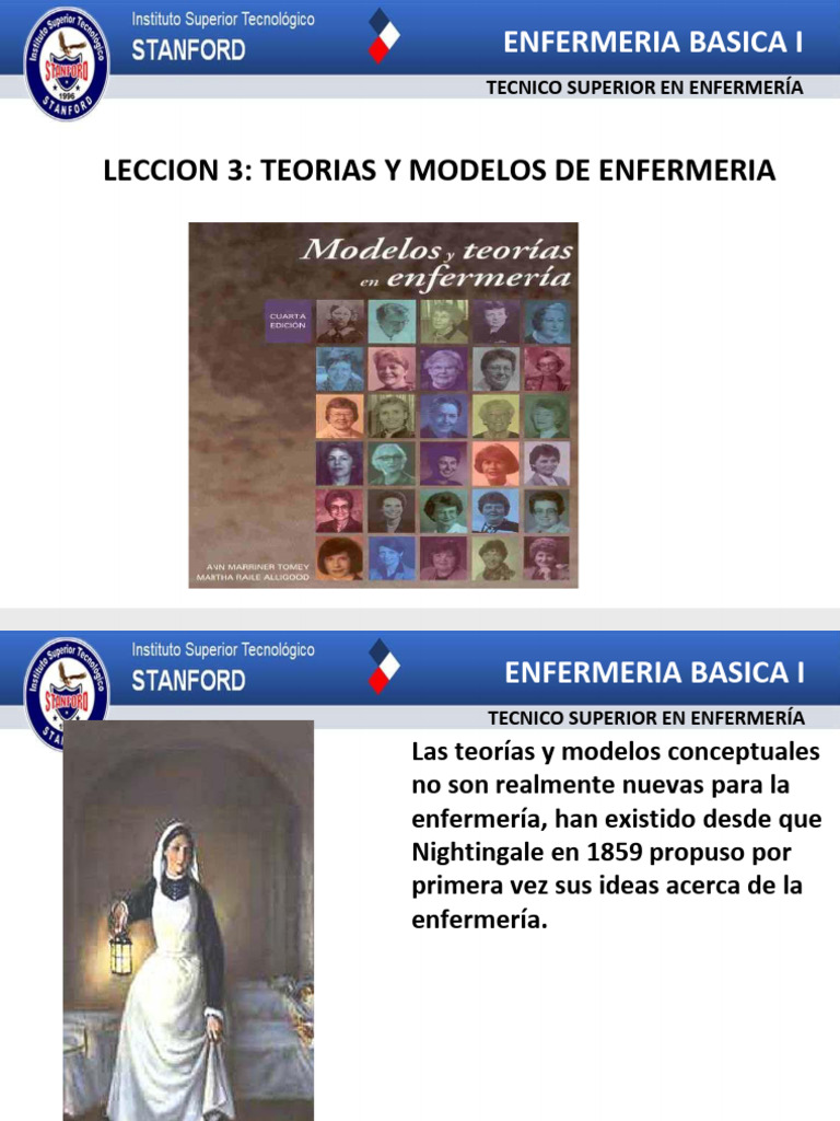 Teorias y Modelos de Enfermería | PDF | Enfermería | Teoría