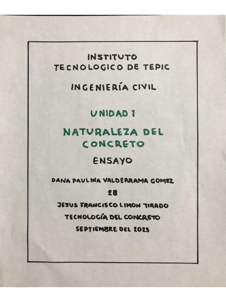 Ensayo Unidad 1 | PDF