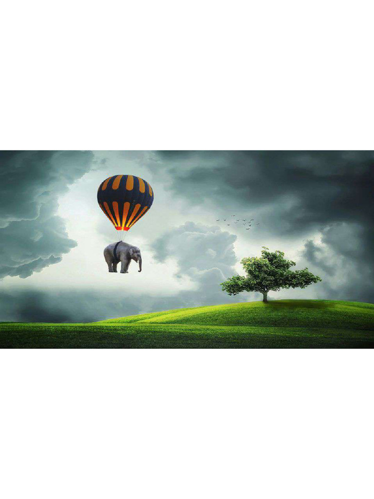 Image Attractive | PDF