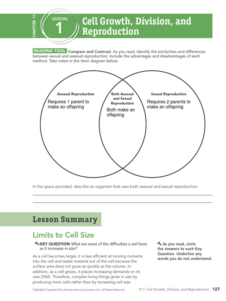 CH 11 Cell Growth Divison and Reproduction (3) rYsR2 | PDF | Mitosis ...