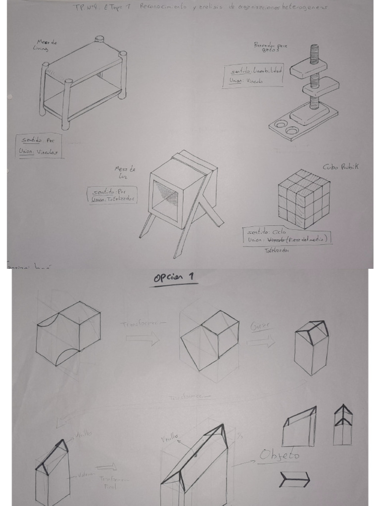 Canziani Jose - Morfologia TP4 2023 | PDF