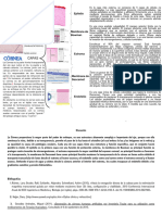Protocolo Hints | PDF | Neuroimagen | Vértigo