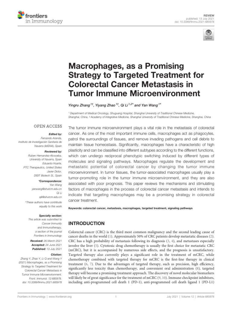TAMs 3 | PDF | Macrophage | Metastasis