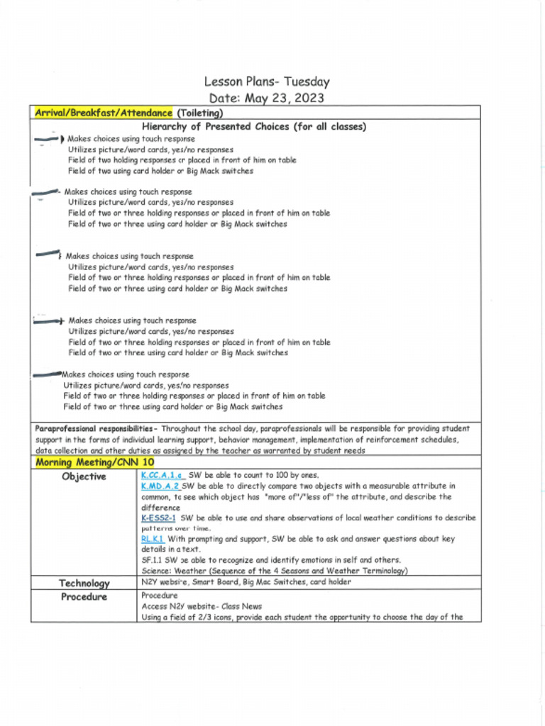 Observation - Lesson Plan | PDF