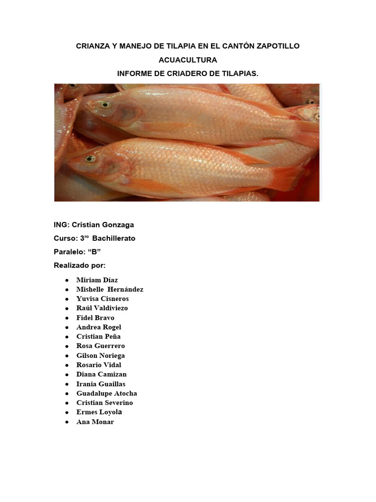 Crianza y Manejo de Tilapia Work | PDF Crianza y Manejo de Tilapia Work | PDF