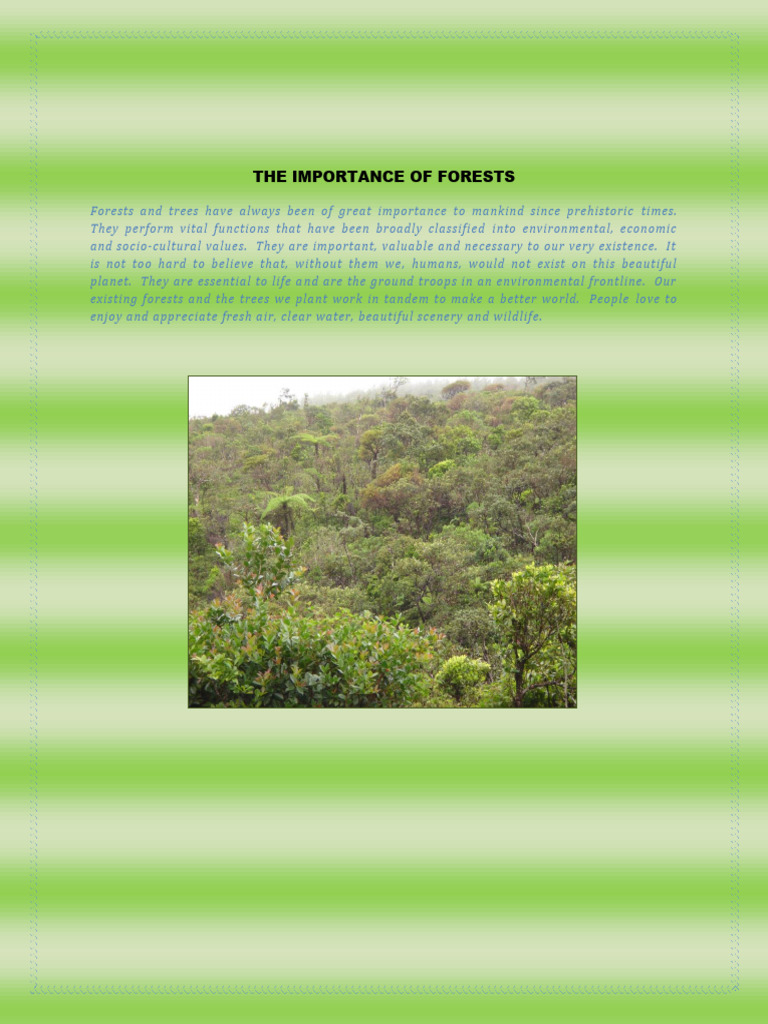 A Brief On The Importance of Forests | PDF | Conservation Biology | Soil