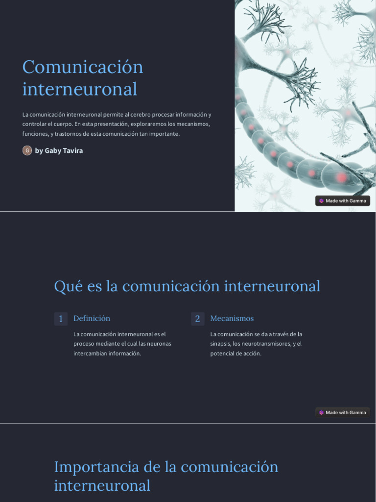 Comunicación Interneuronal y su Importancia | PDF | Sinapsis | Neurociencia