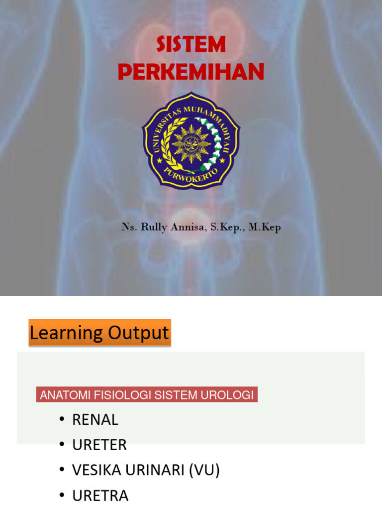 Anfis Sistem Perkemihan (Urologi) | PDF