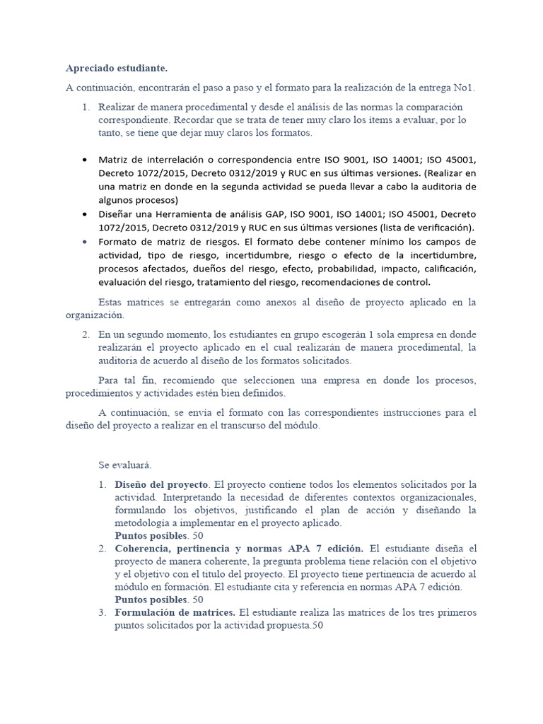 Instructivo para Auditoria | PDF | Matriz (Matemáticas) | Auditoría