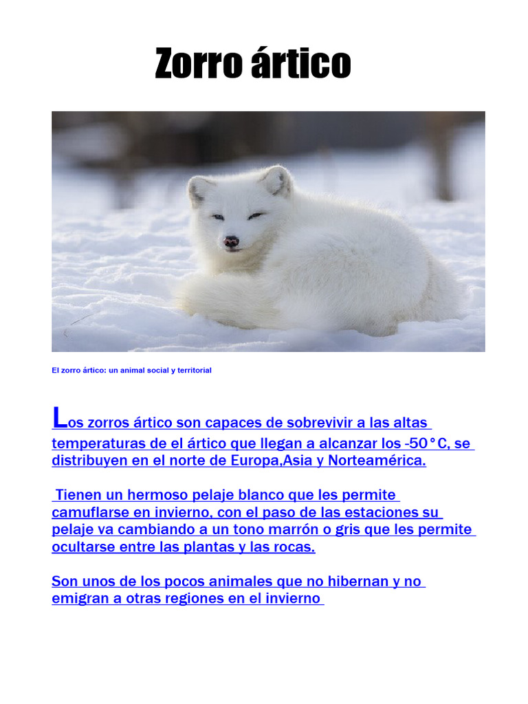 Zorro ártico: hábitat y características | PDF